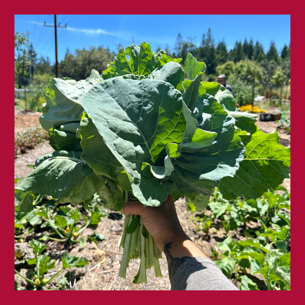 Words at Work: Part One– Dharma Publishing