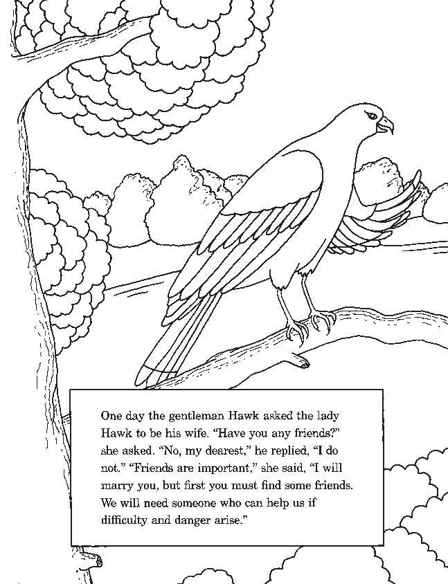 she hawk coloring pages